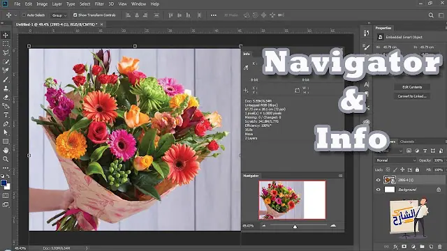 قلعه الكويت - كيفية استخدام Navigator Panel في Photoshop